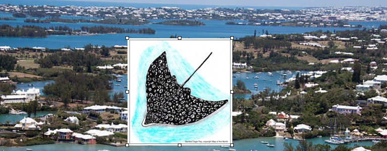 Creatures of Bermuda - Maps for the Classroom